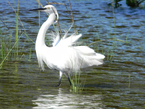 | Activities – Sharwimbo River Camp