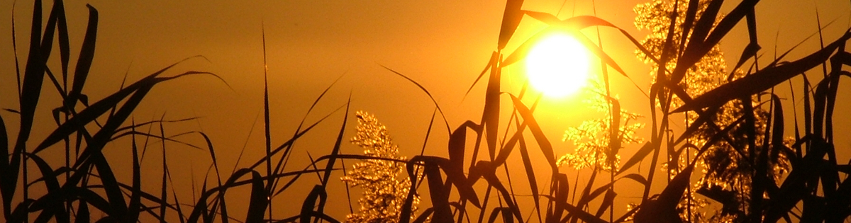 | Activities – Sharwimbo River Camp